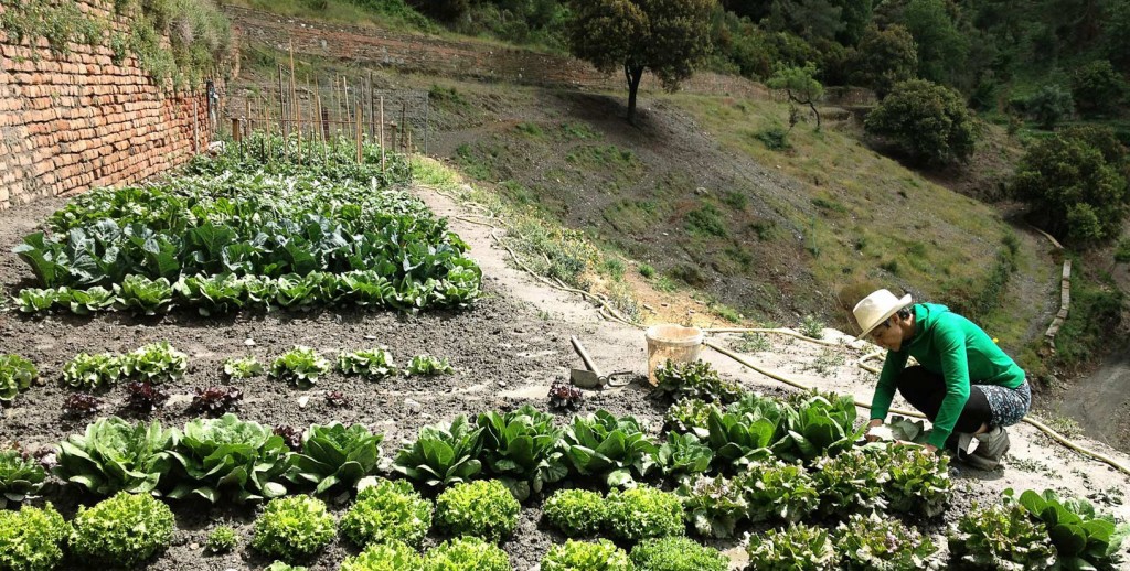 Facilities – Valldaura