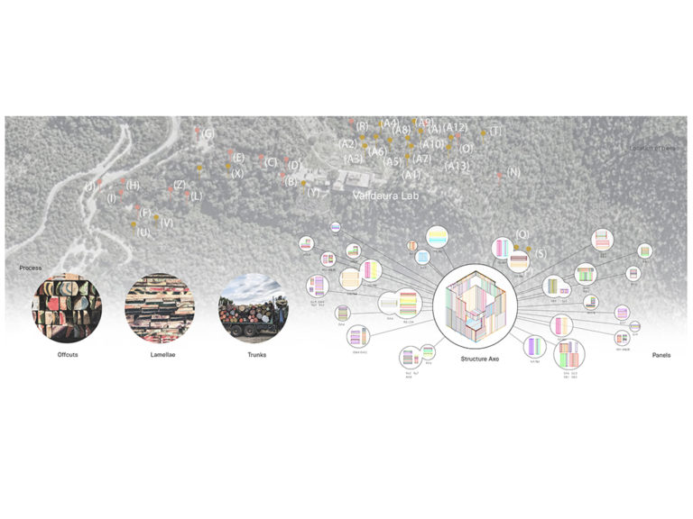 Sustainable Forest Management & Traceable Timber – Valldaura